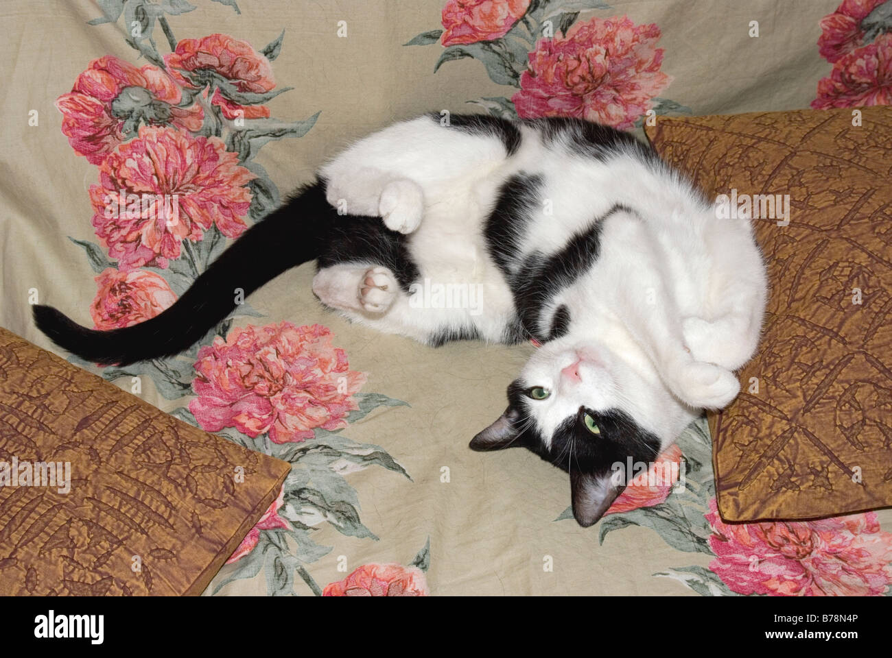 Supine position hi-res stock photography and images - Alamy