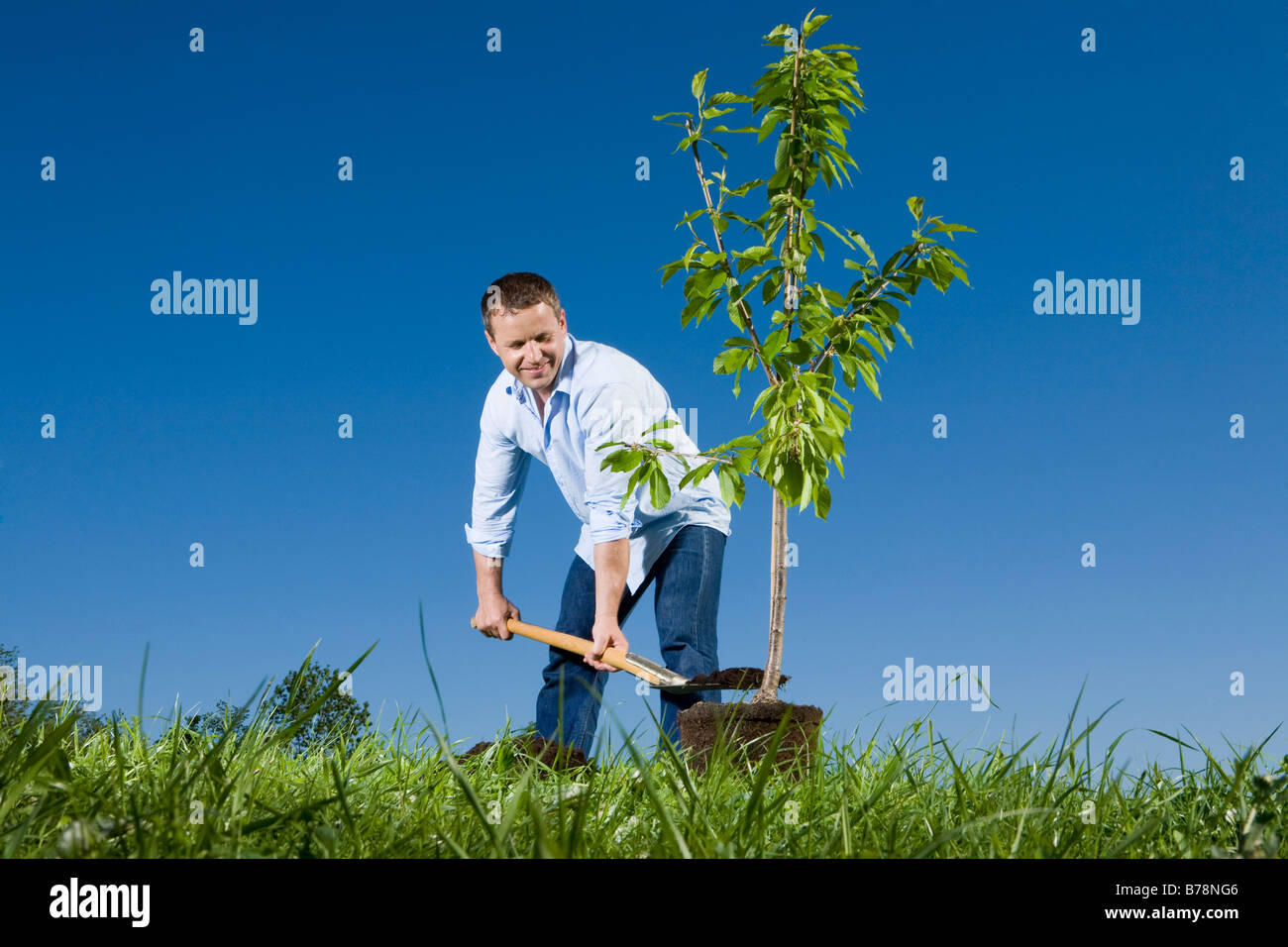 Young man planting a small tree Stock Photo - Alamy