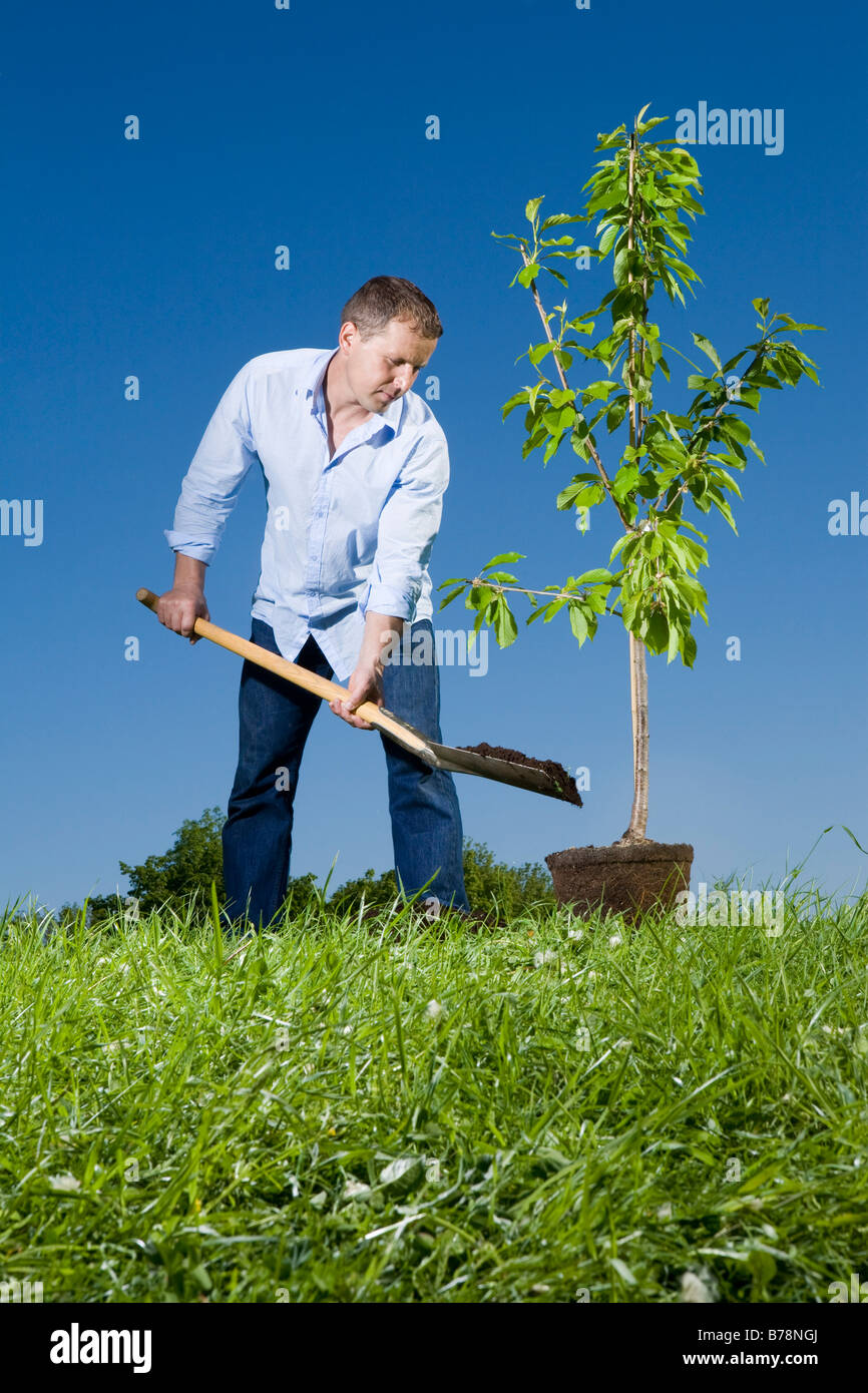 Young man planting a small tree Stock Photo - Alamy