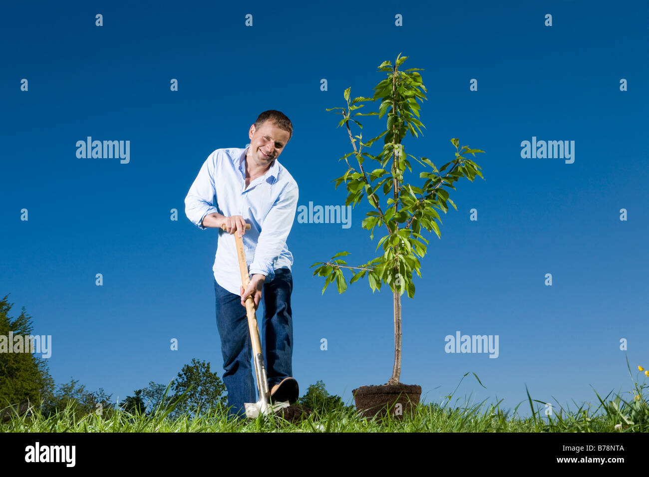 Young man planting a small tree Stock Photo - Alamy