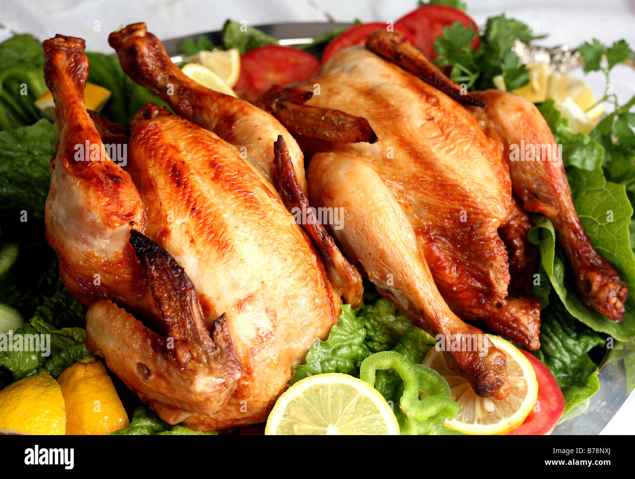 Animal buffet hi-res stock photography and images - Alamy