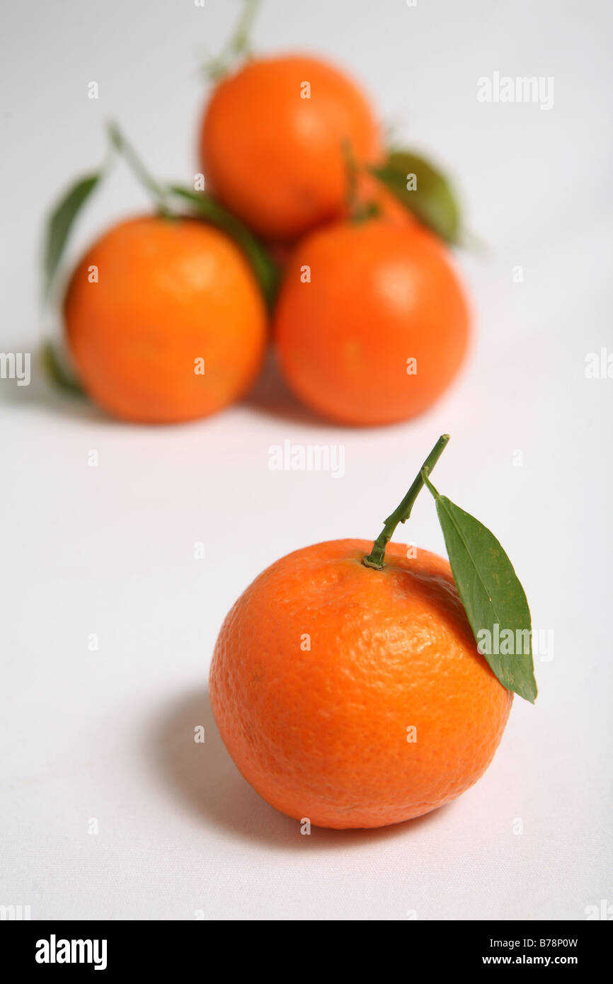Clementines leaf hi-res stock photography and images - Alamy