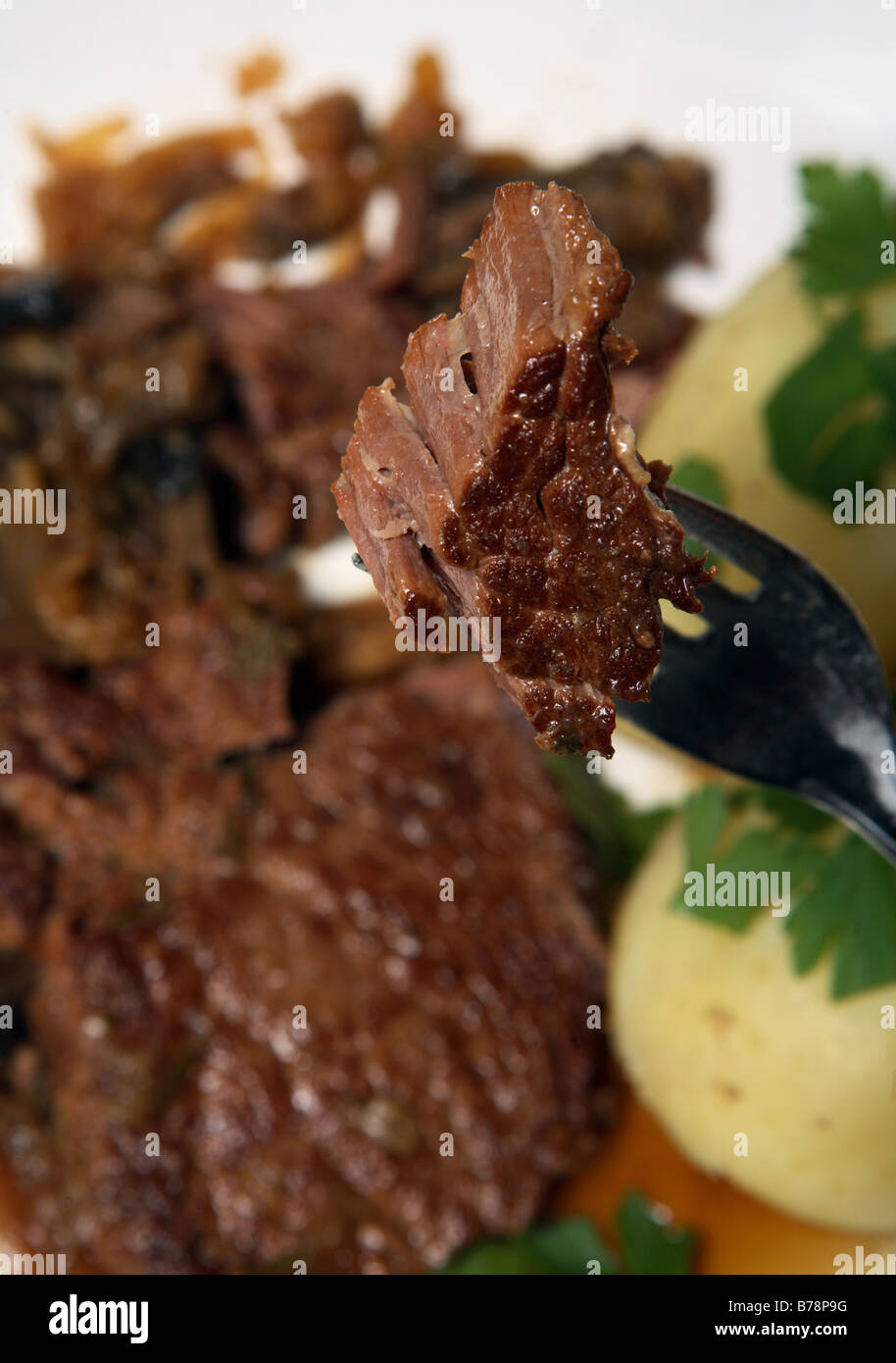 A chunk of braised steak on a fork,close-up,with the rest of the meal ...