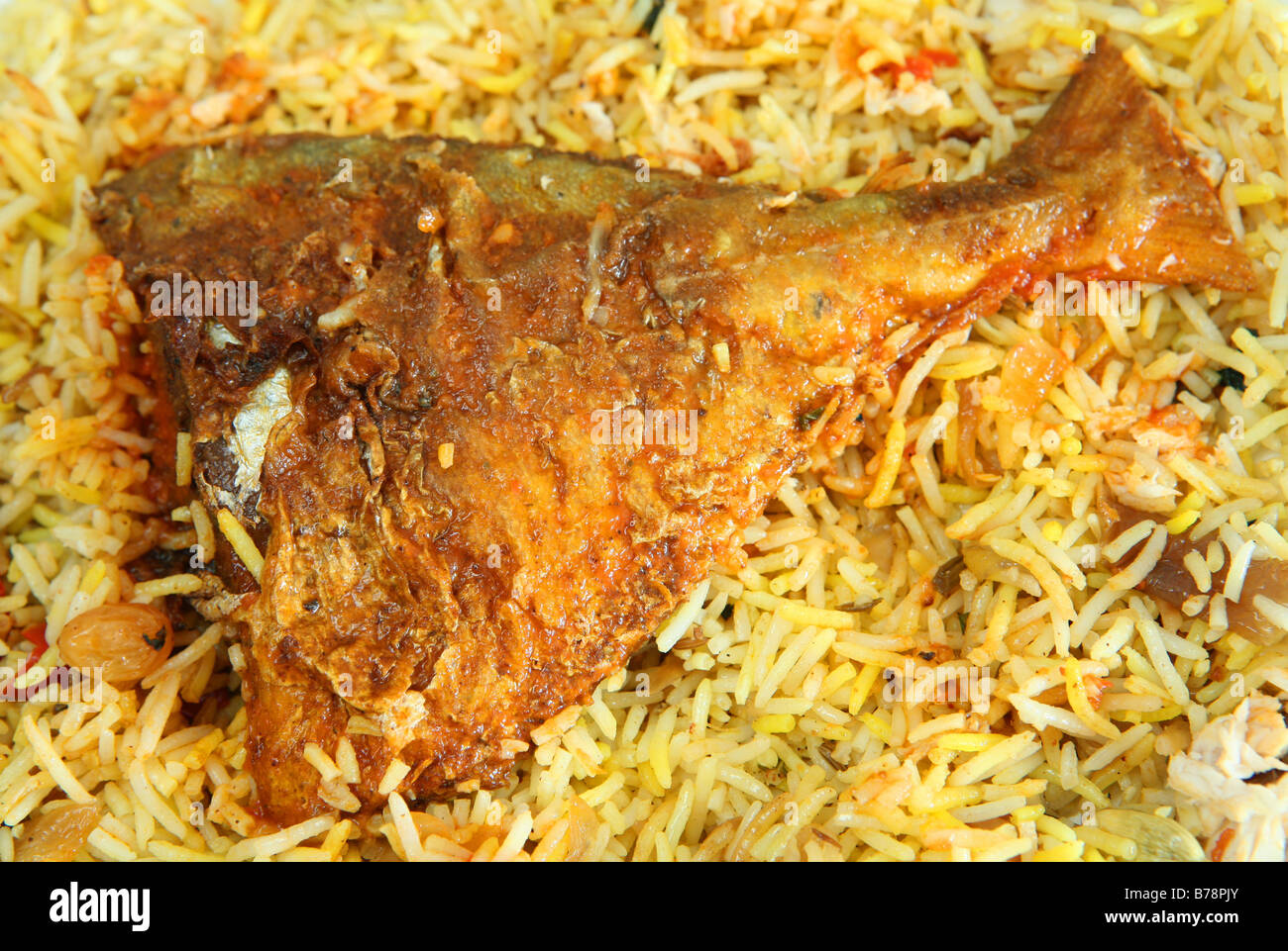Majboos fish hi-res stock photography and images - Alamy