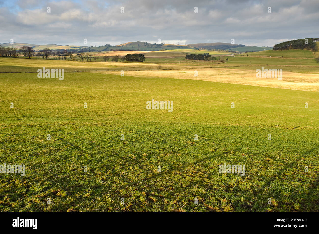 Winter landscape in South Lanarkshire, Scotland Stock Photo - Alamy
