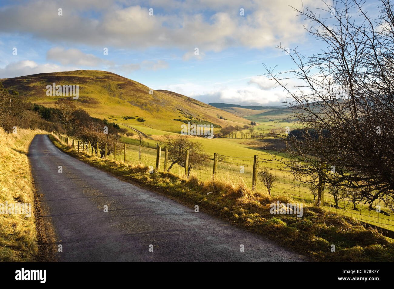January in South Lanarkshire Stock Photo - Alamy