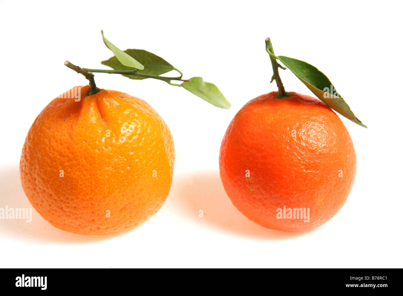 Two mandarins hi-res stock photography and images - Alamy