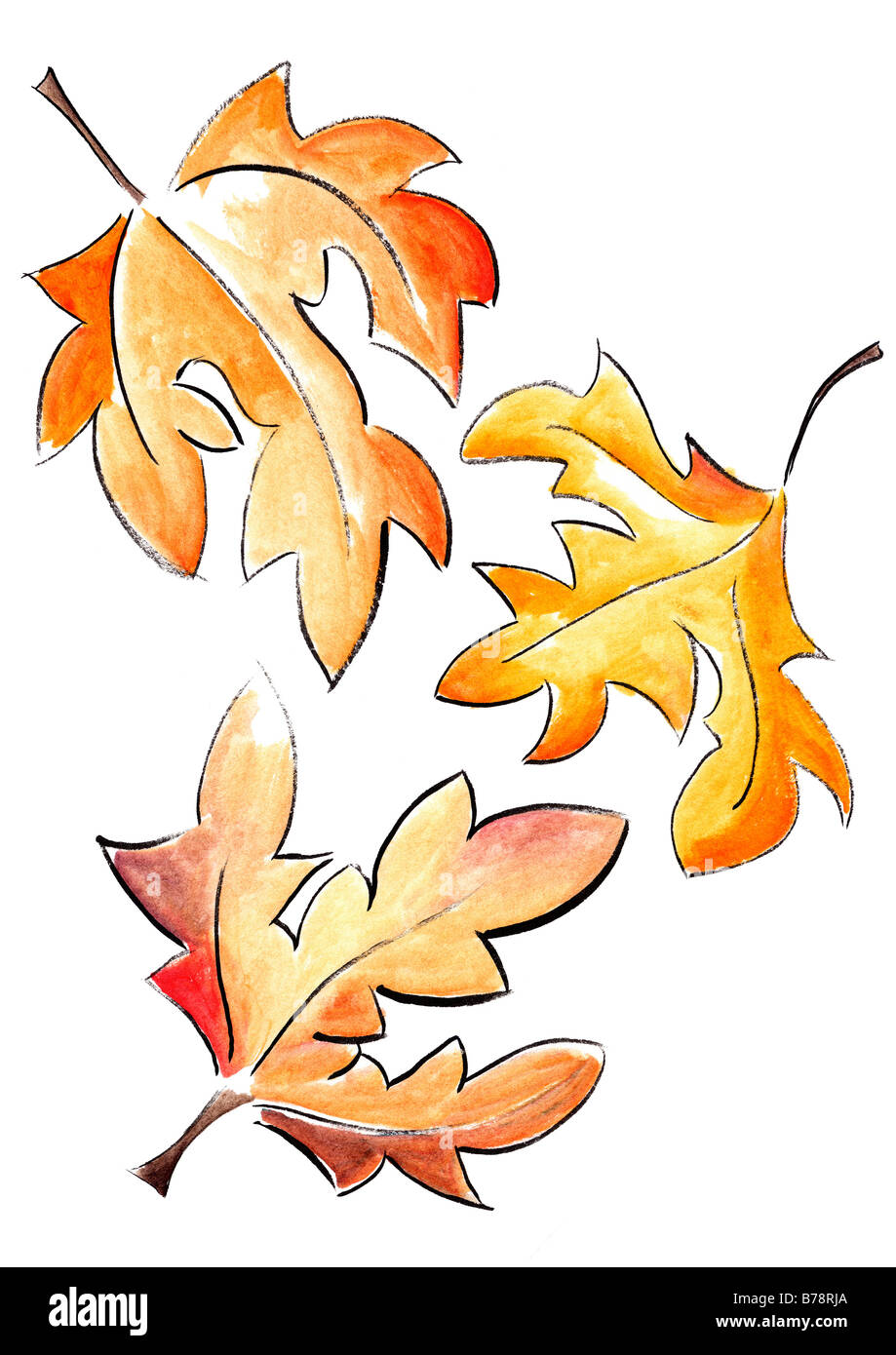 Illustration, Three autumn leaves Stock Photo - Alamy