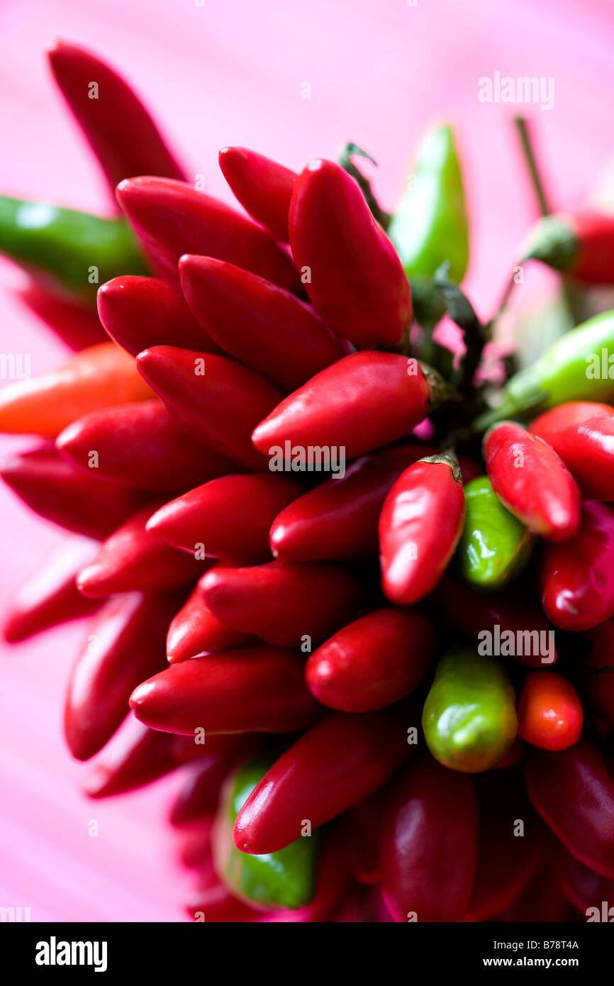 Chilli peppers, close-up Stock Photo - Alamy