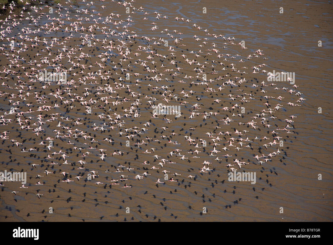 Flying mud hi-res stock photography and images - Alamy