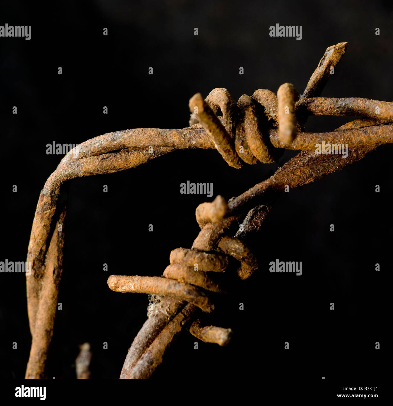 Close up of two sections of twisted, rusty barbed wire Stock Photo - Alamy