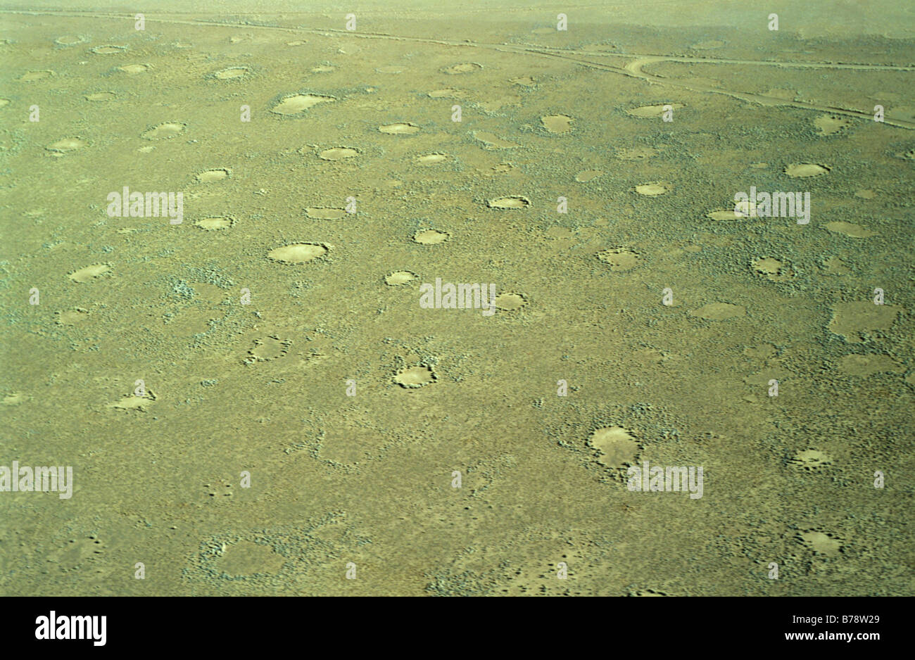 Aerial view of fairy rings (fairy circles)- a natural phenomenon in the ...