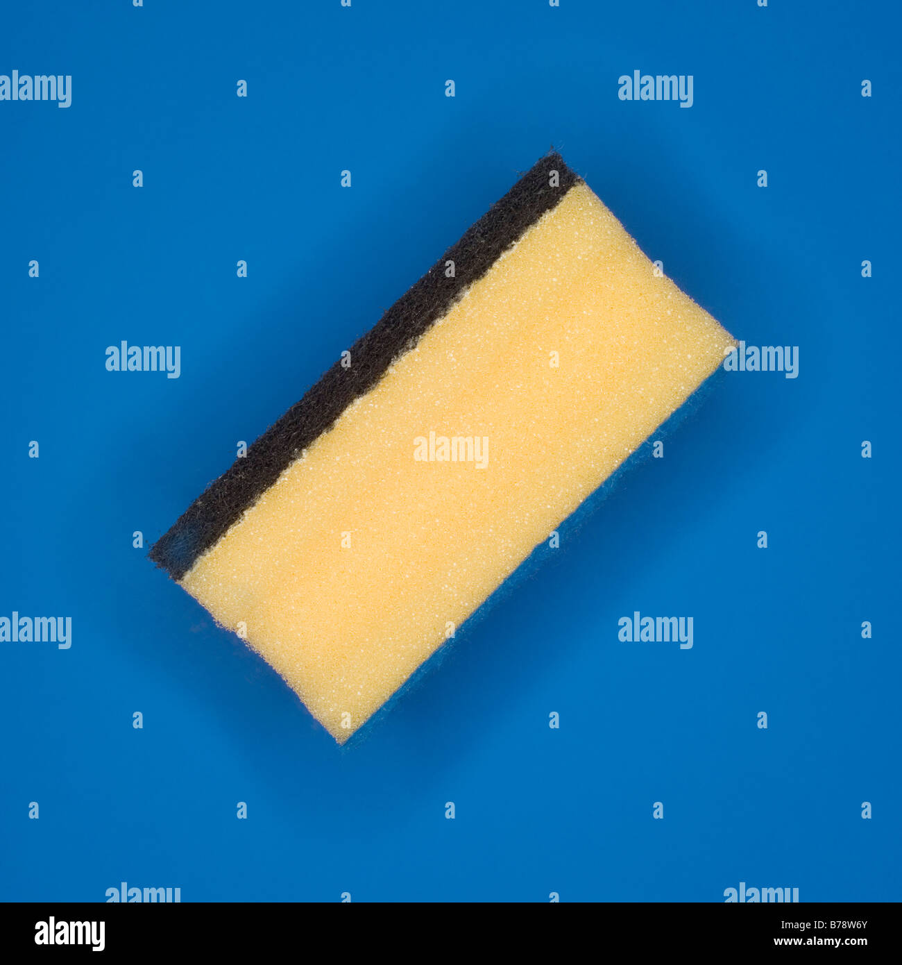 Sponge, elevated view Stock Photo - Alamy