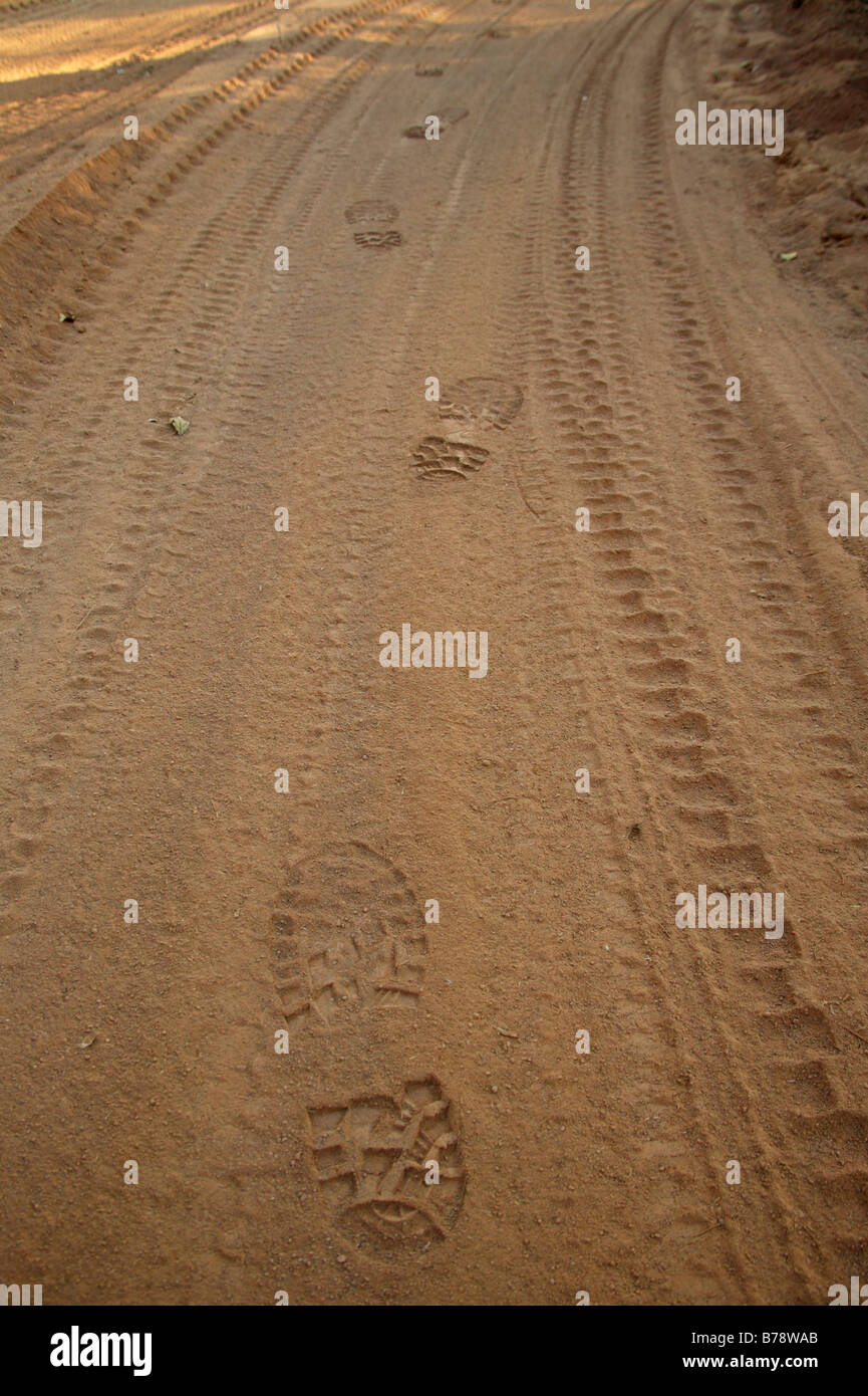 Footprints on a dirt road Stock Photo - Alamy
