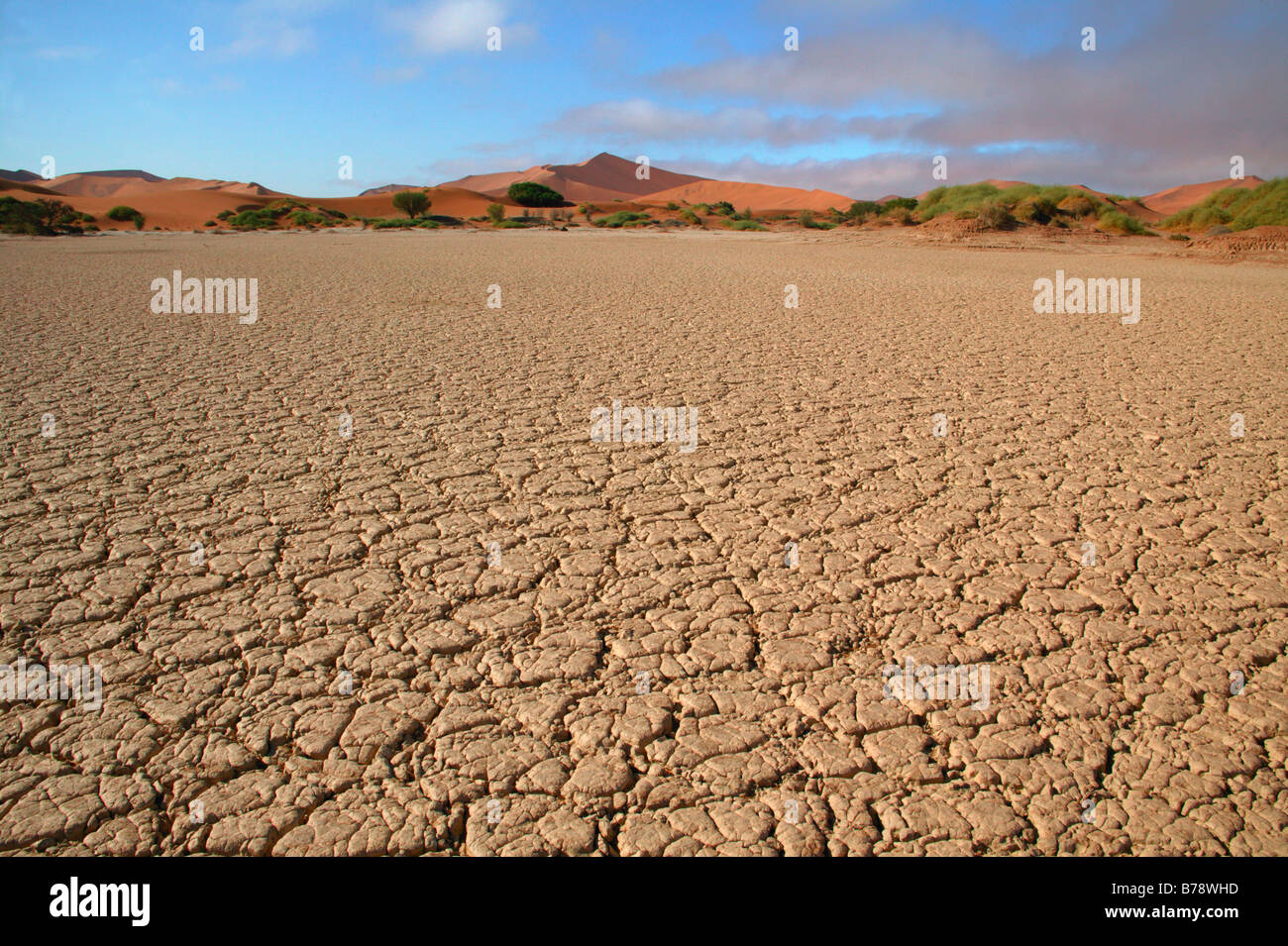 Cracked earth in a dry, low-lying pan leading towards sand dunes and ...