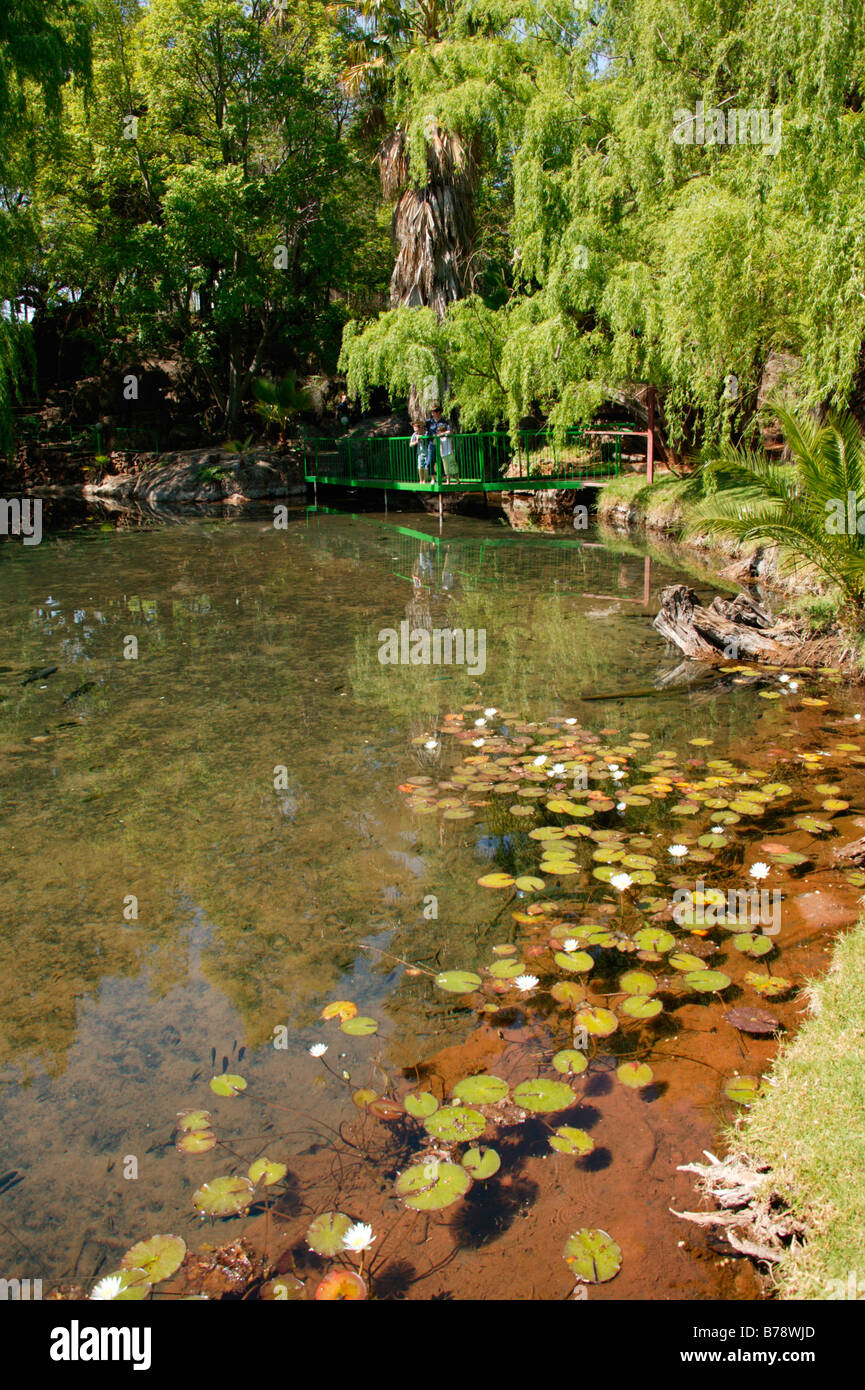 Tourists look into the water at the freshwater Spring at "die Oog" or ...