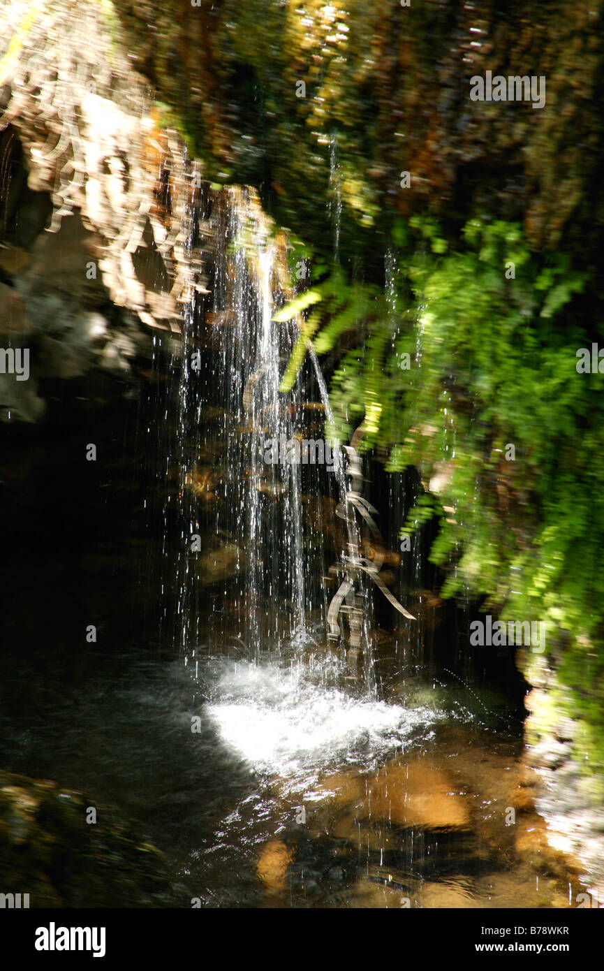 A freshwater Spring at "die Oog" or "the eye" which is the source of ...