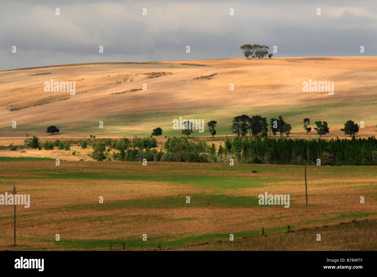 Rural pastoral landscape hi-res stock photography and images - Alamy