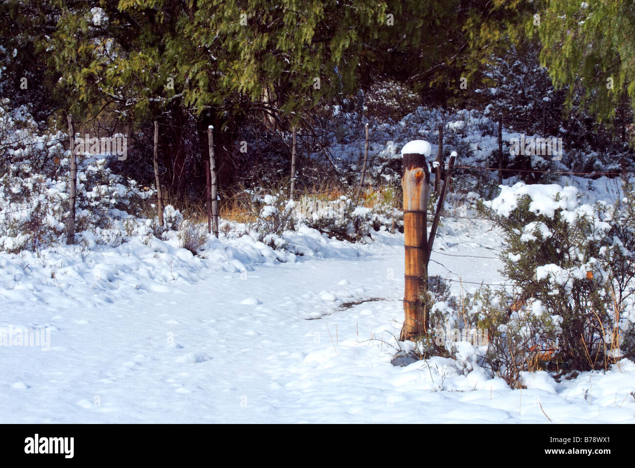 Farm road and fence covered with snow Stock Photo - Alamy