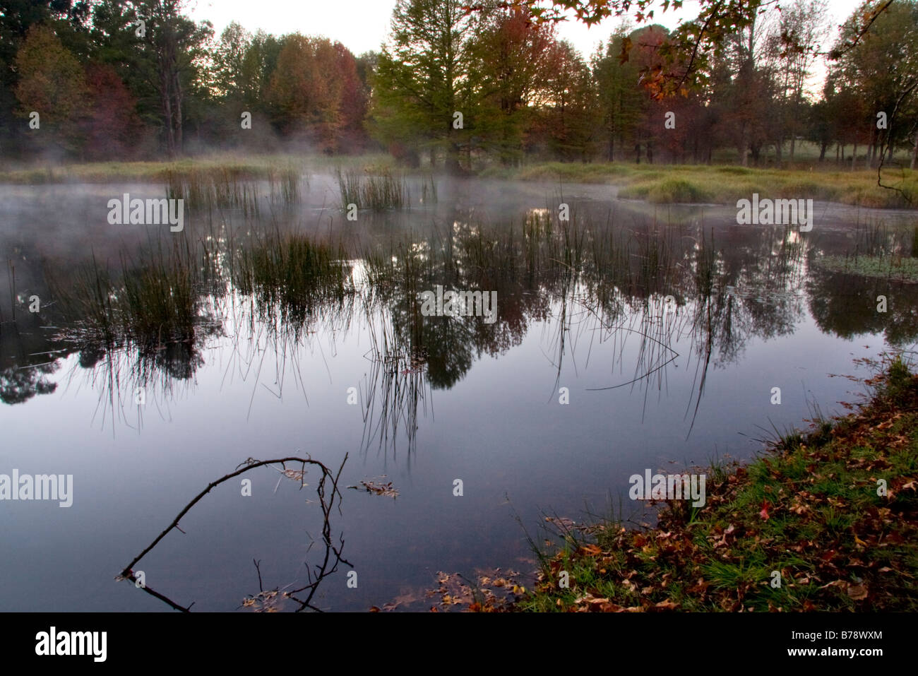Mist over lake hi-res stock photography and images - Alamy