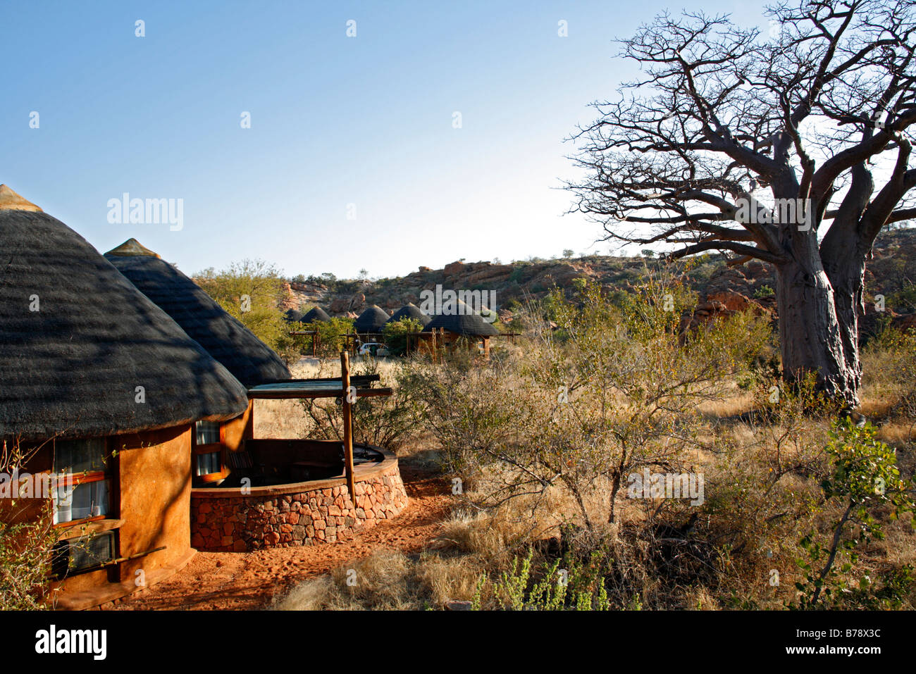 Thatched rondawels in the Leokwe camp in the Mapungubwe National Park ...