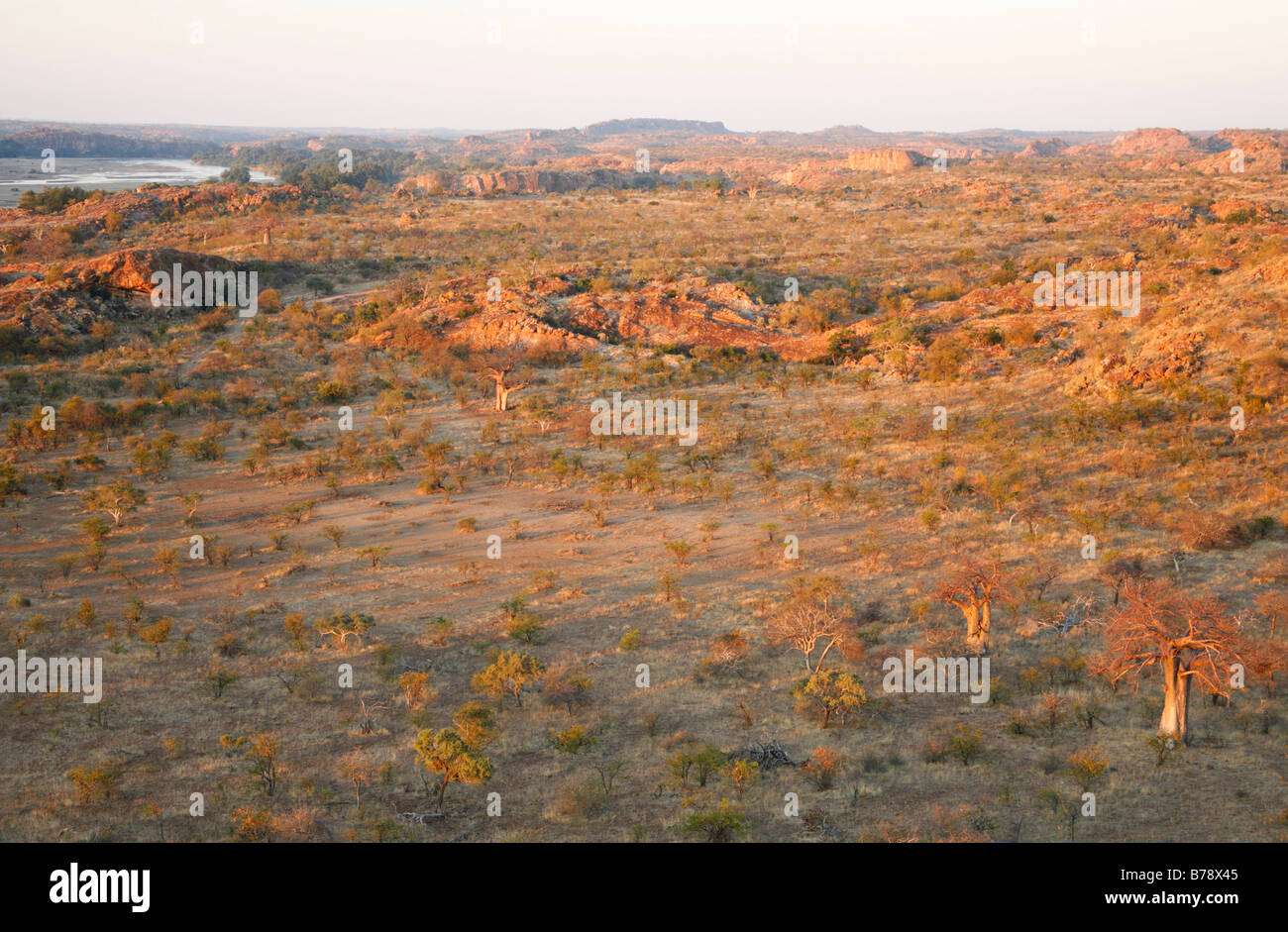 Scenic view of the Limpopo River valley and landscape with Baobabs in ...