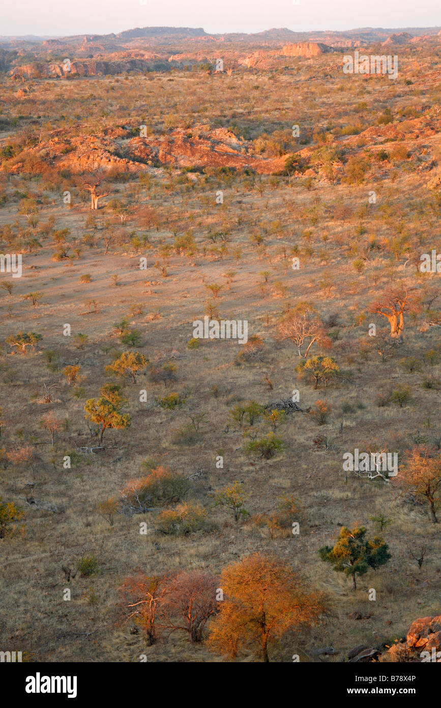 Mapungubwe national park hi-res stock photography and images - Alamy