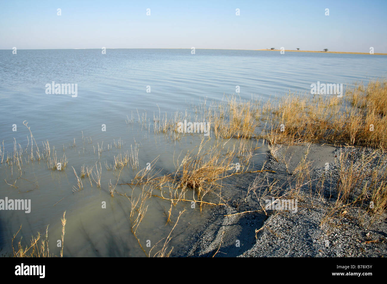 Botswana makgadikgadi pans hi-res stock photography and images - Alamy