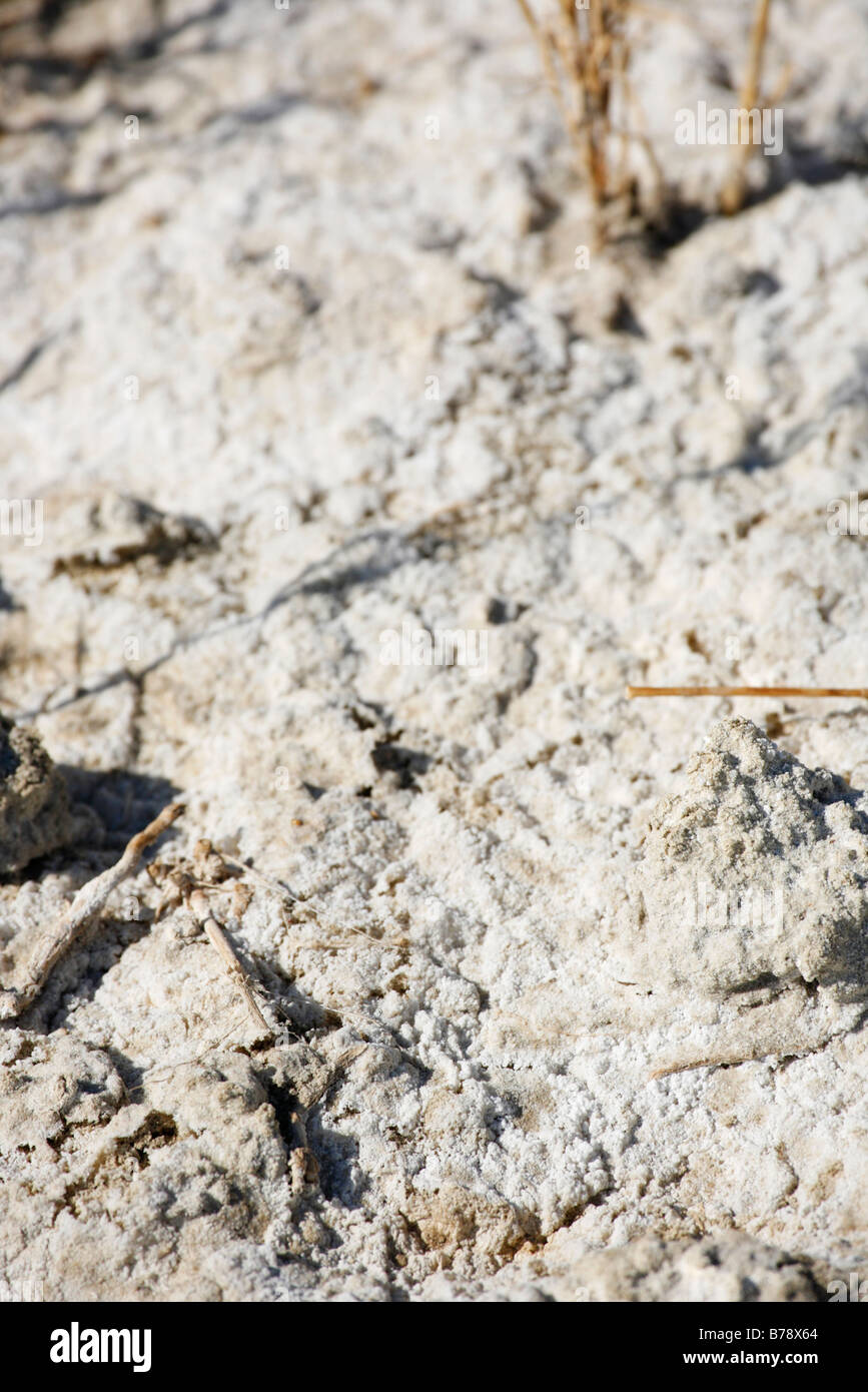 Salt crystals encrust the soil surface of the Makgadikgadi pans Stock ...