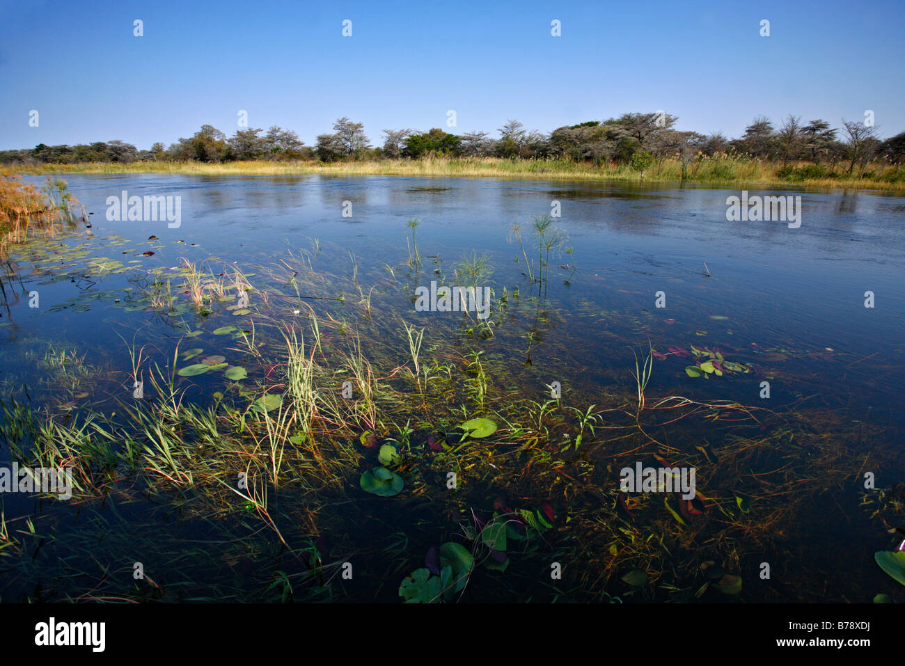 A scenic view of the Kwando River and lodge at Camp Kwando Stock Photo ...