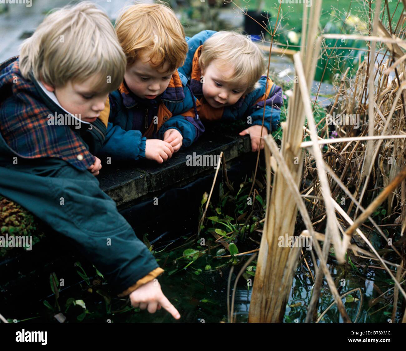 CHILDREN LOVE LOOKING IN PONDS Stock Photo - Alamy