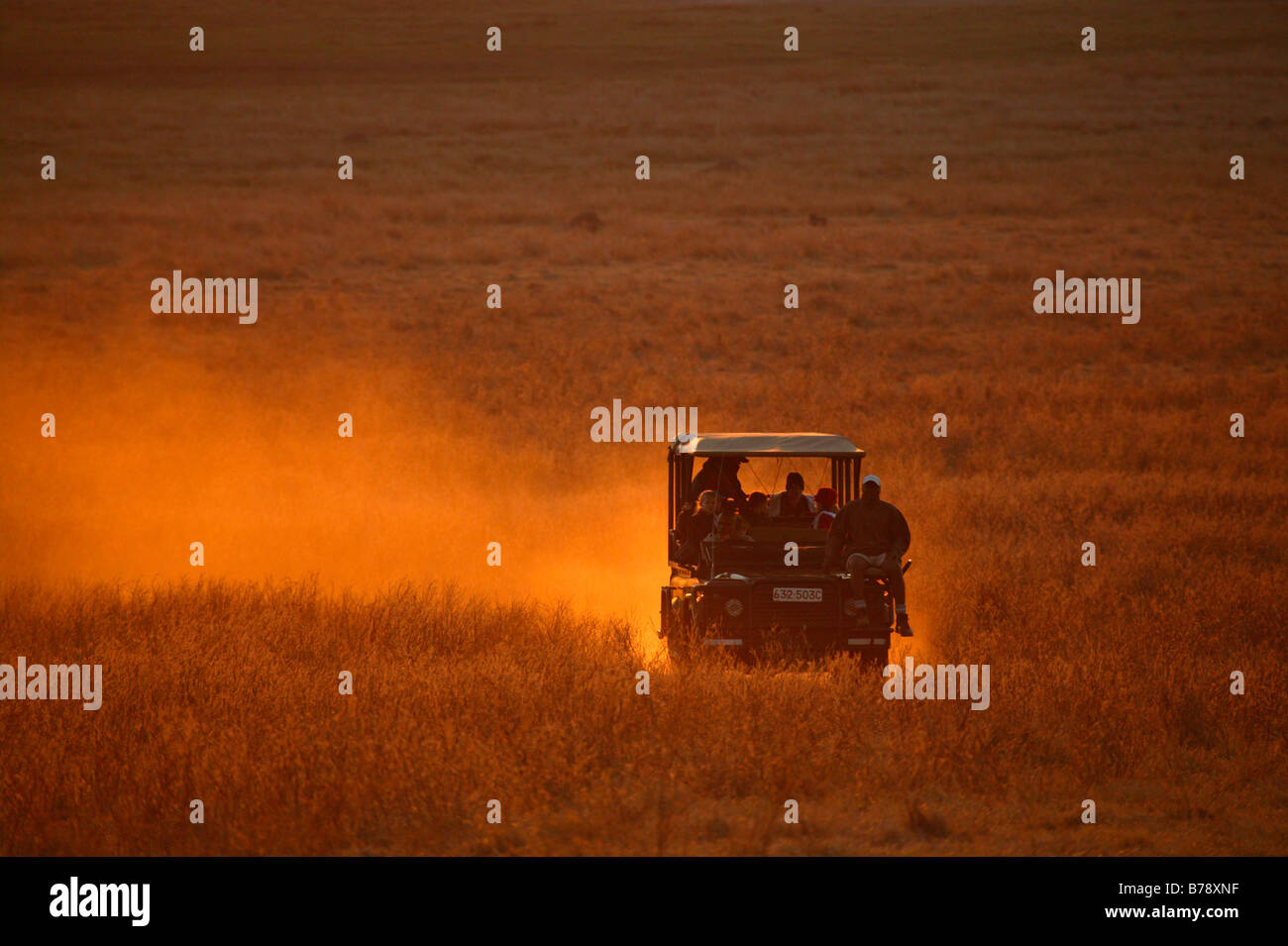 An open game drive vehicle returning from a drive at sunset Stock Photo ...