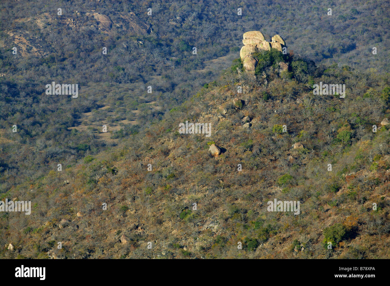 A typical Lowveld bushveld scene with a granite koppie in undulating ...