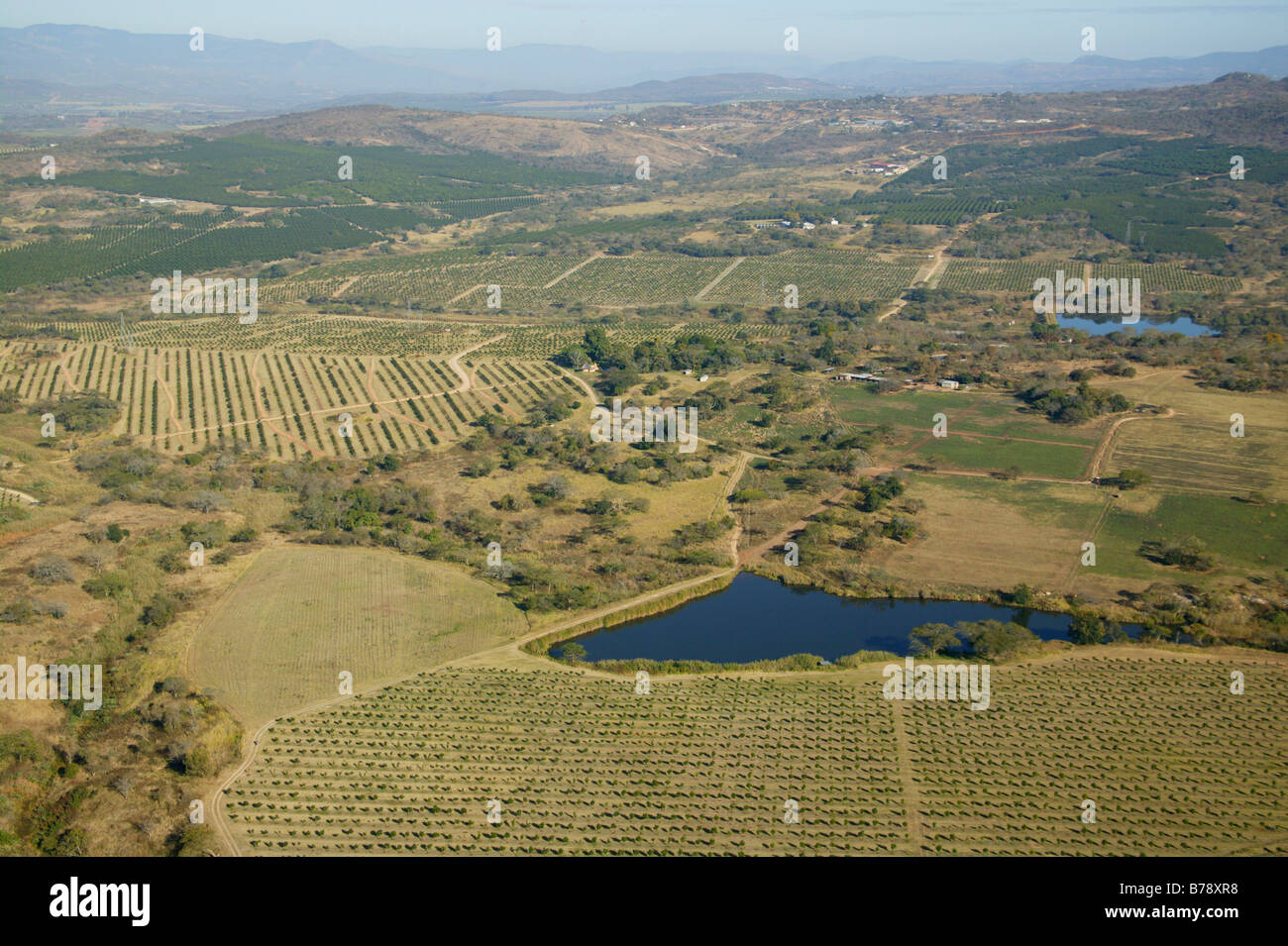 Aerial view of the Lowveld countryside showing orange and litchi ...
