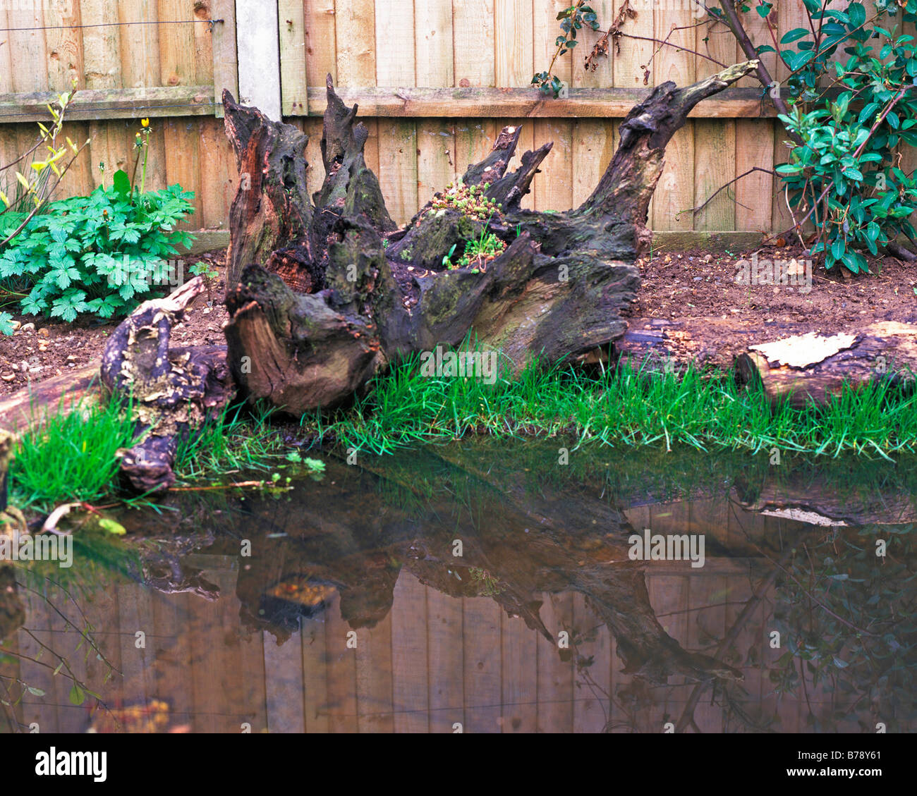 GRASS AND OLD TIMBER ARE CHEAP MATERIALS USED TO HIDE THE POND LINER ON ...