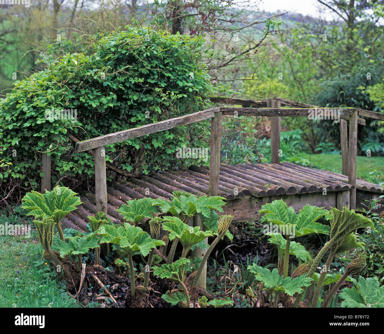 RUSTIC WOODEN BRIDGE OVER STREAM Stock Photo - Alamy