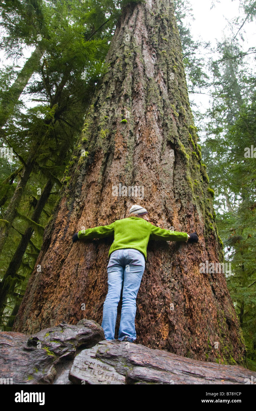 A woman hugging an old growth tree in a rainforest on Vancouver Island ...