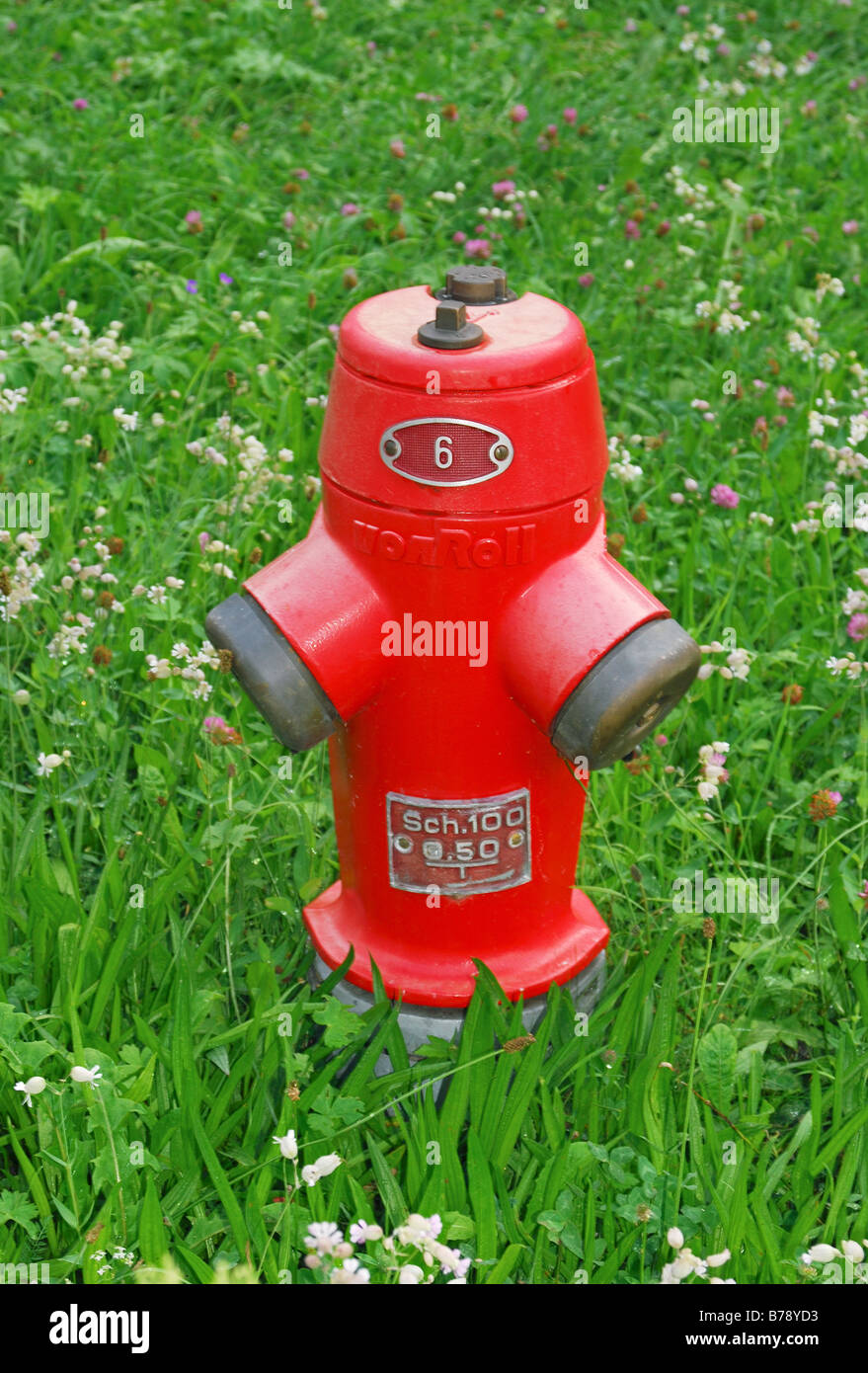 fire hydrant in the lawn Stock Photo - Alamy