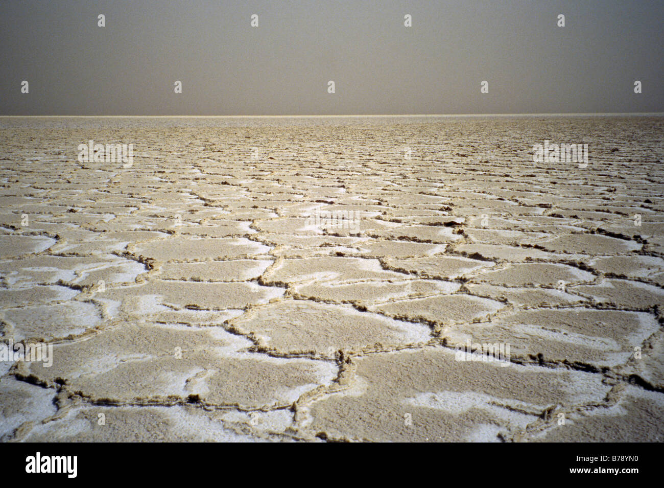 Danakil salt pan, ethiopia hi-res stock photography and images - Alamy
