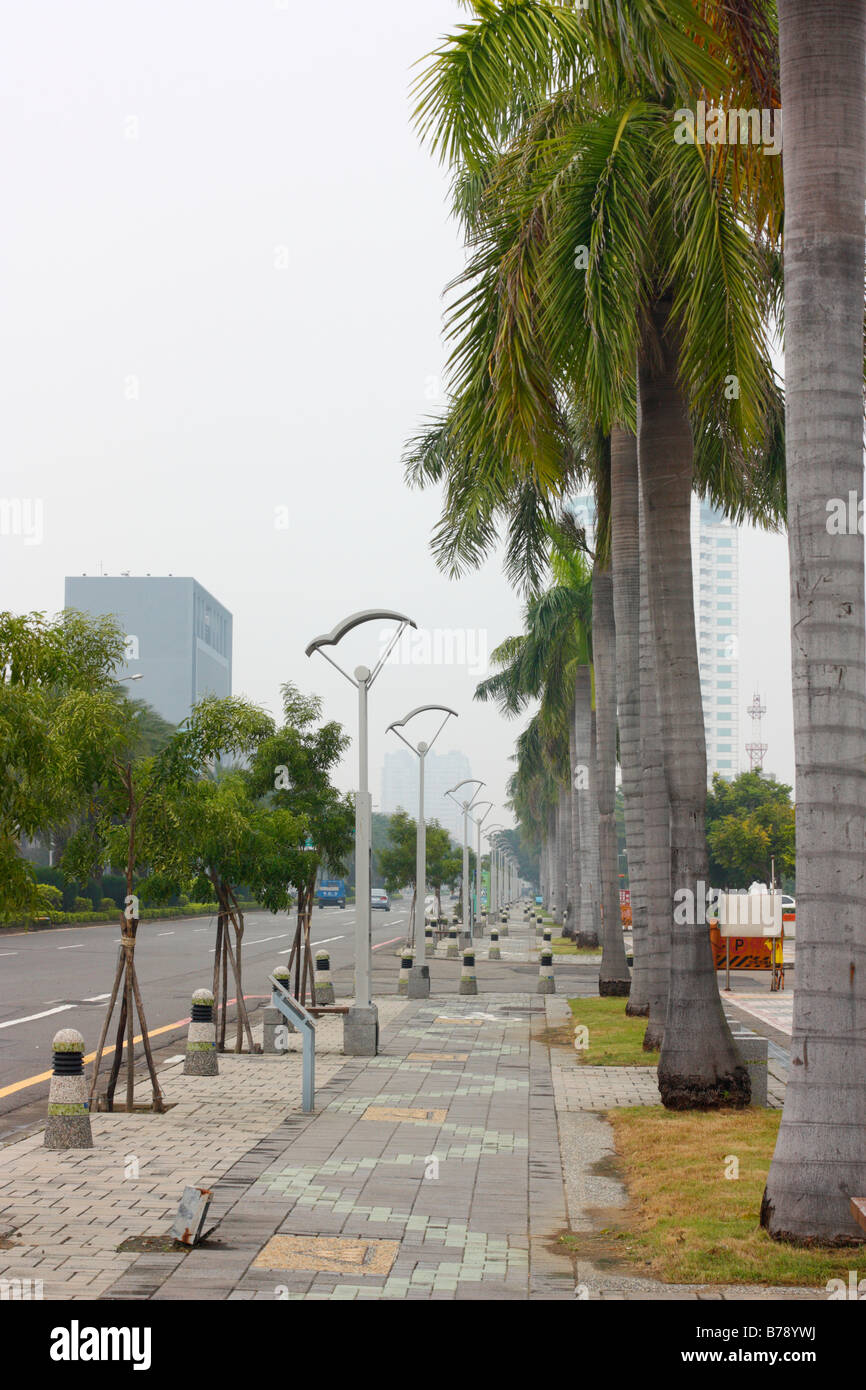 Sidewalk and palm trees in Tainan, Taiwan Stock Photo - Alamy