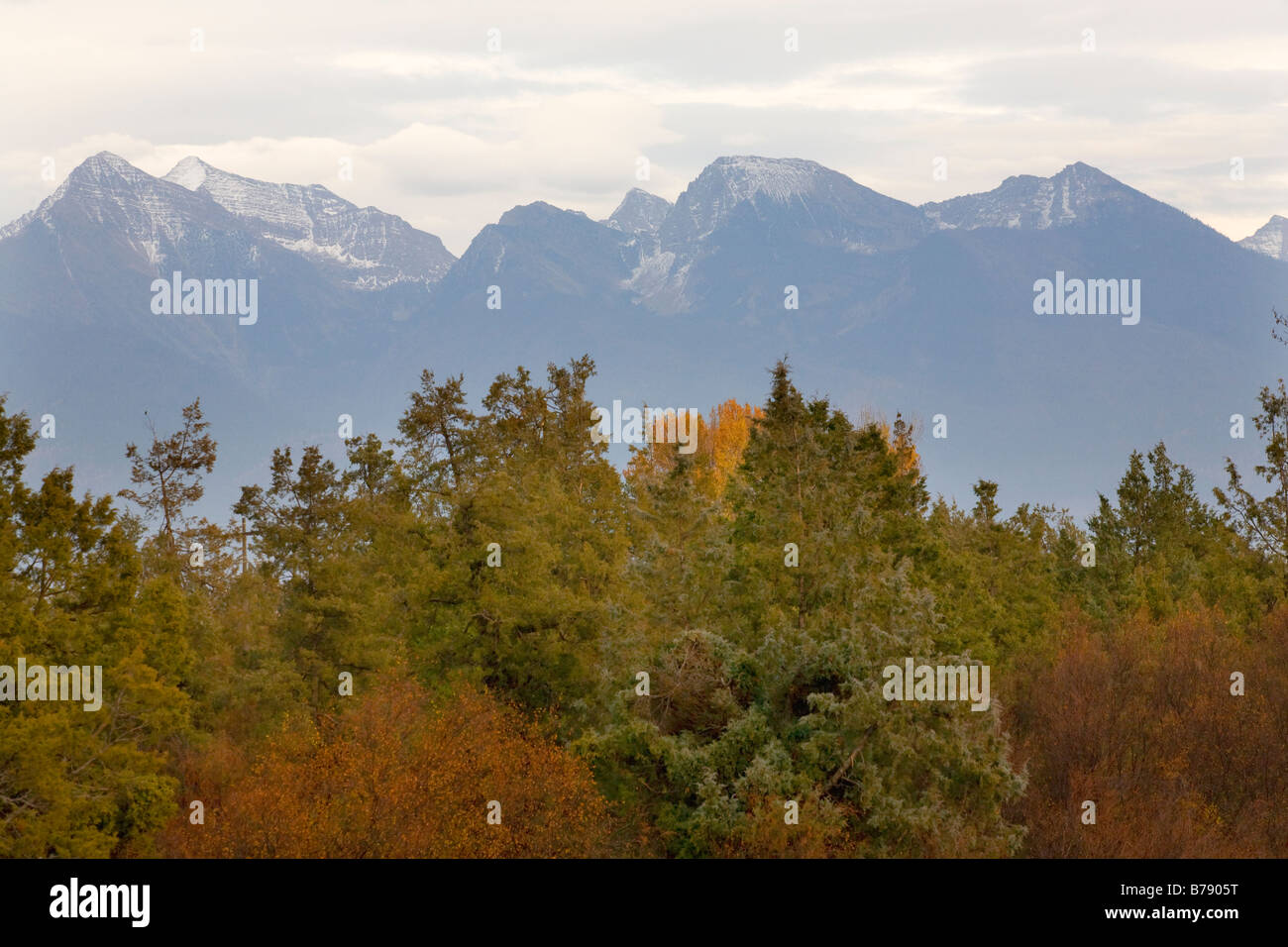 Mountains Fall Colors National Bison Range Charlo Montana Stock Photo ...