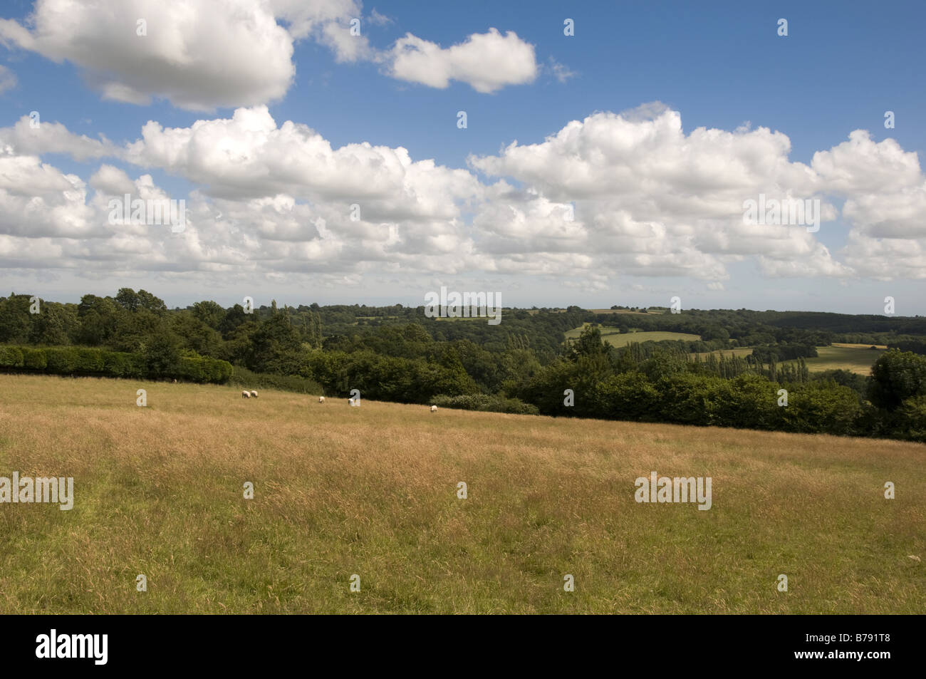Farmgrass hi-res stock photography and images - Alamy
