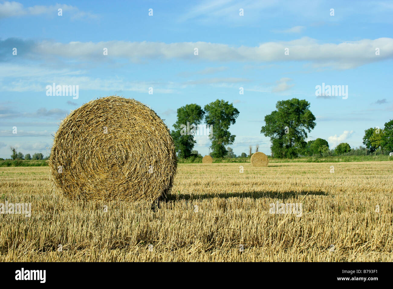 Straw bale on field Stock Photo - Alamy