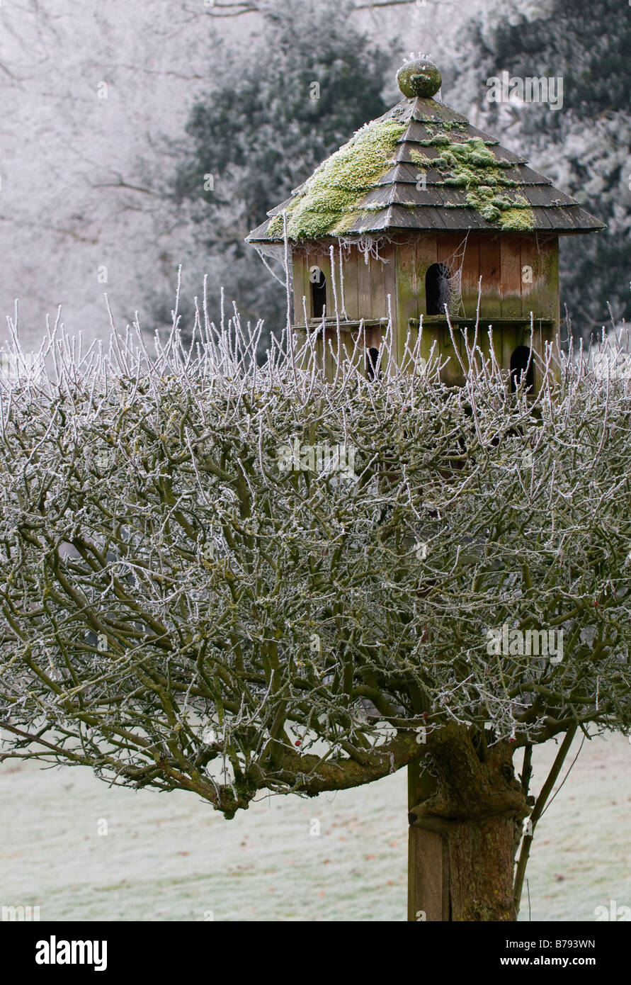 Dove cot in garden hi-res stock photography and images - Alamy