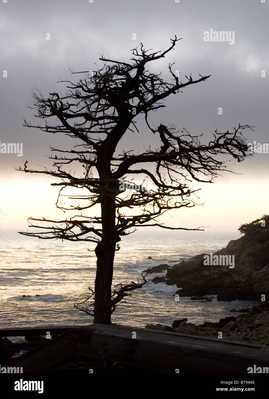 17 mile drive monterey hi-res stock photography and images - Alamy