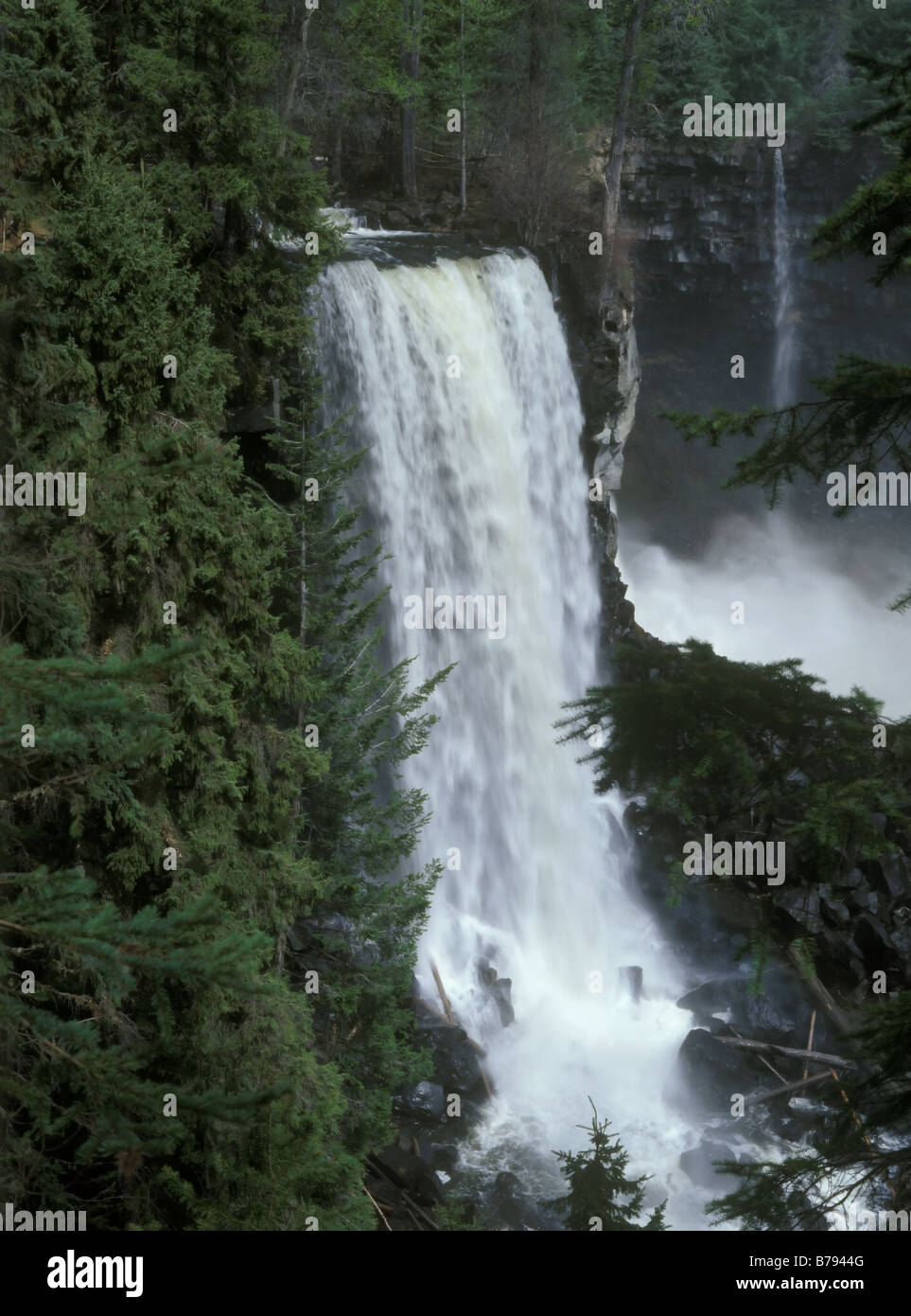 Canim High Resolution Stock Photography and Images - Alamy