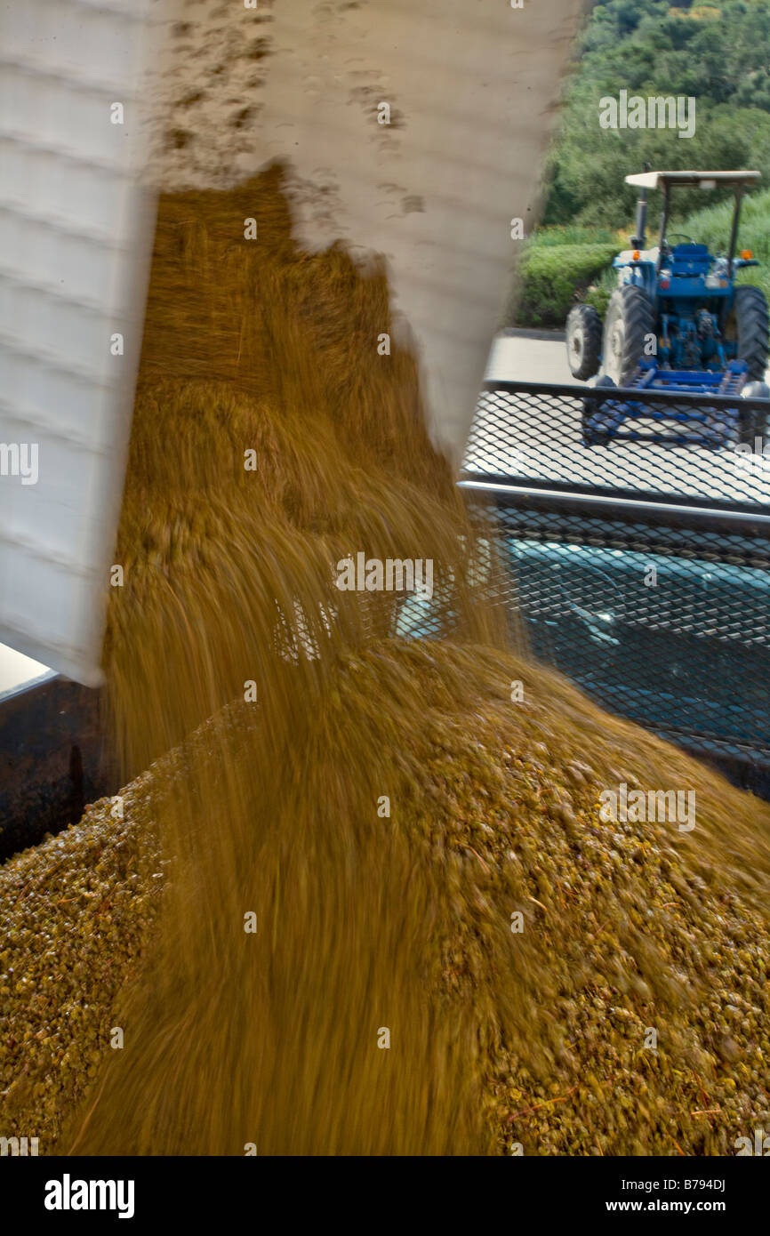 Garbage Dump California High Resolution Stock Photography and Images ...