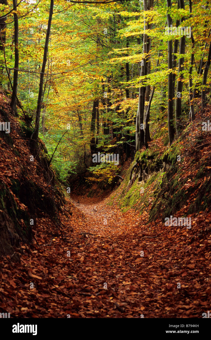 Secret ravine hi-res stock photography and images - Alamy
