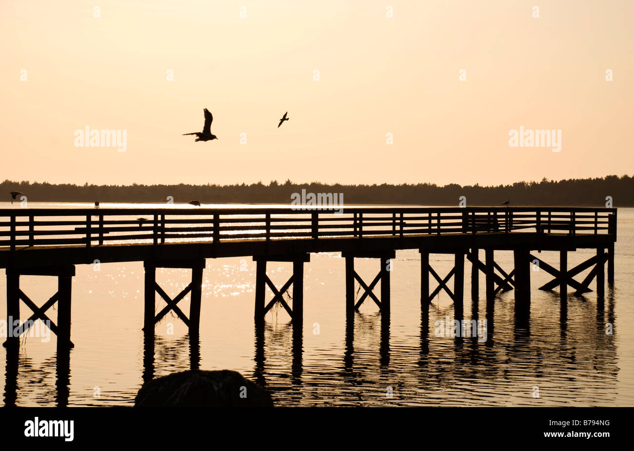 Pier at sunset Stock Photo - Alamy