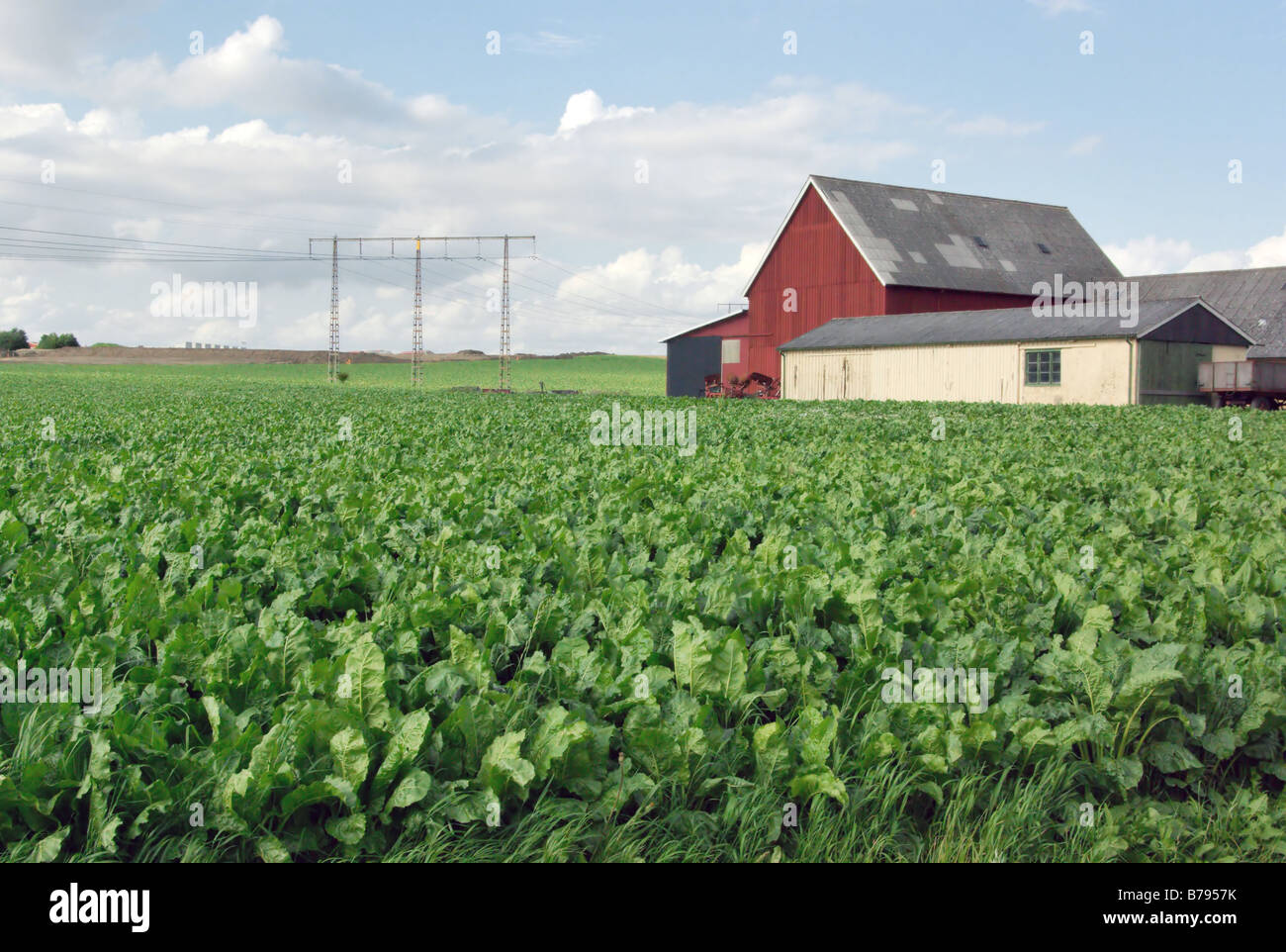 Lund Farm Rockland Ma at Randy Stambaugh blog